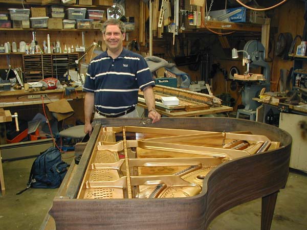 Bridges, board, plate and stringing.